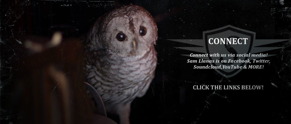 Sam Llanas - Welcome to the Official Sam Llanas Website